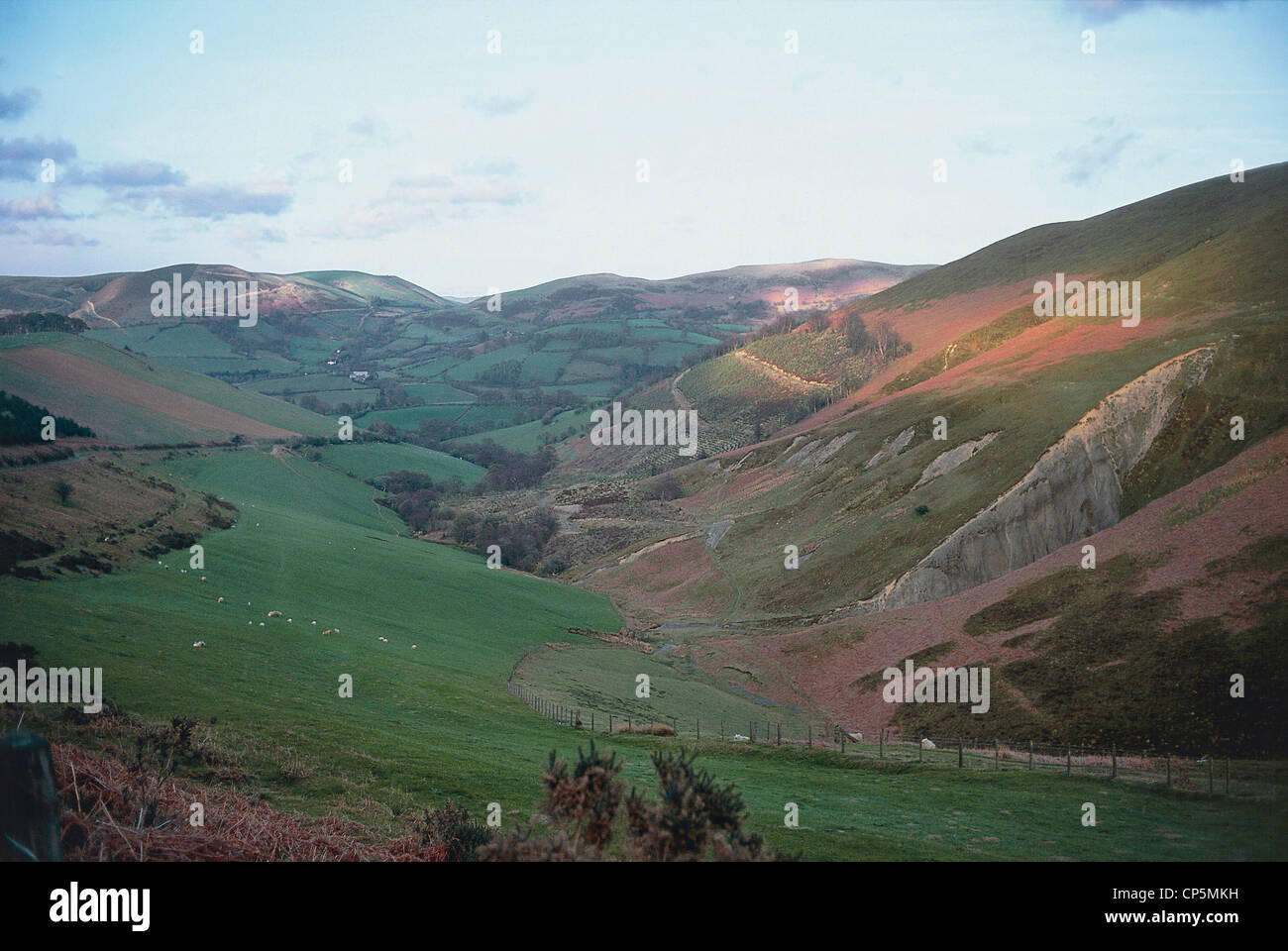 UNITED KINGDOM WALES Cambrian Mountains Landscape Stock Photo - Alamy