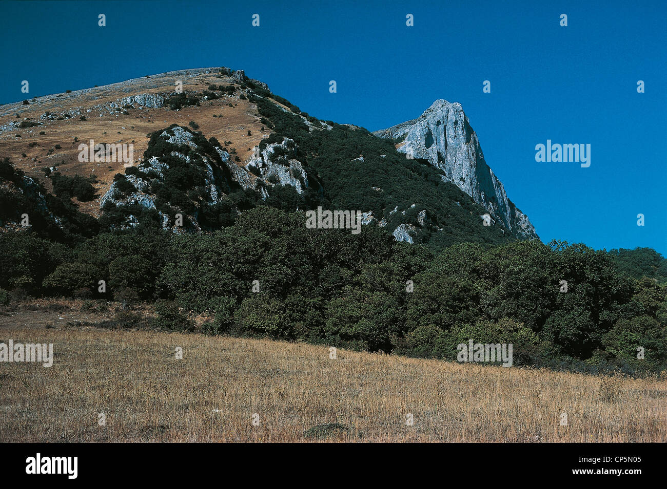 Busambra hi-res stock photography and images - Alamy