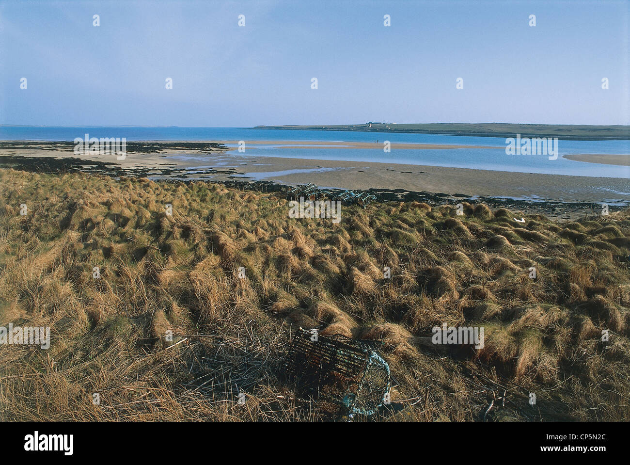 United Kingdom - Scotland - Orkney archipelago - Island Mainland - Holm ...