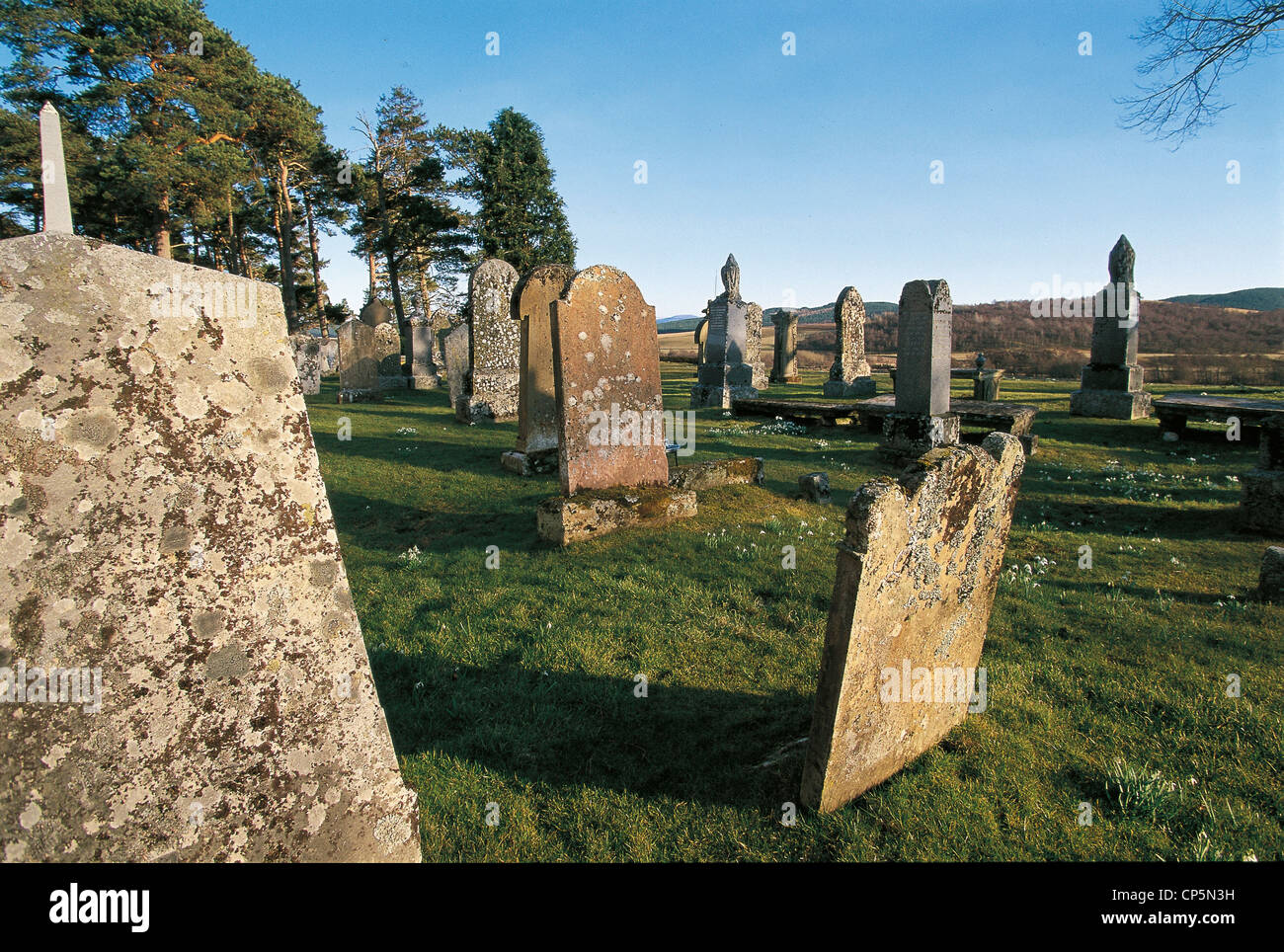 United Kingdom - Scotland - Moray - Dulnain Bridge. Grant Clan ...