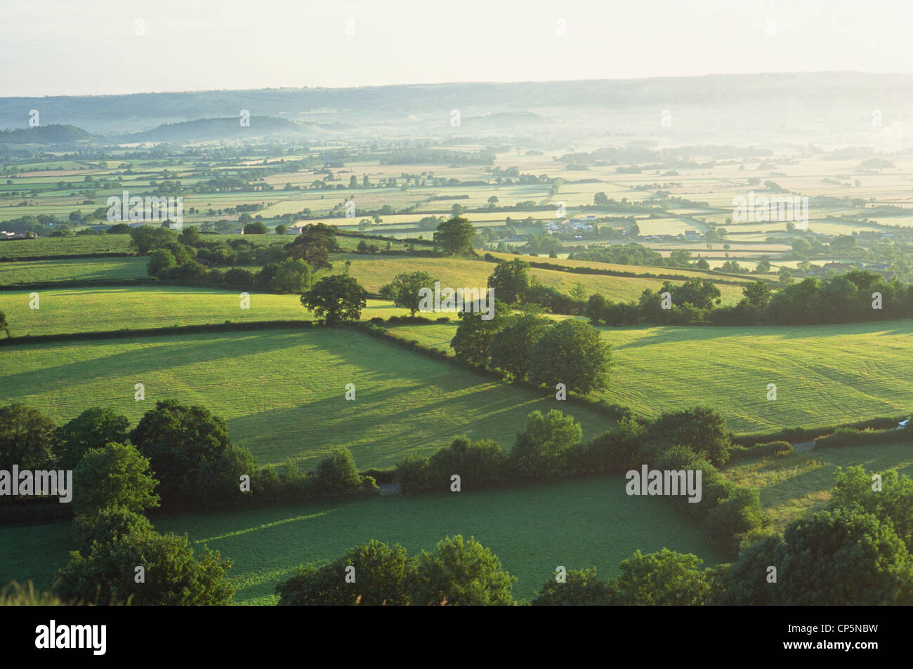 Somerset countryside hi-res stock photography and images - Alamy