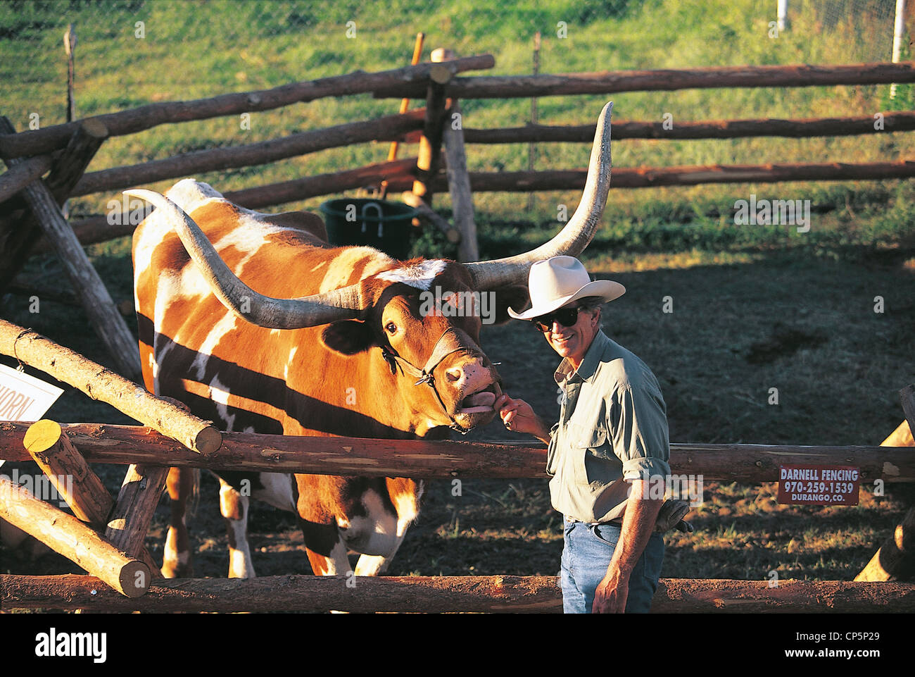 United States of America - Colorado - Durango. The rodeo Stock Photo ...