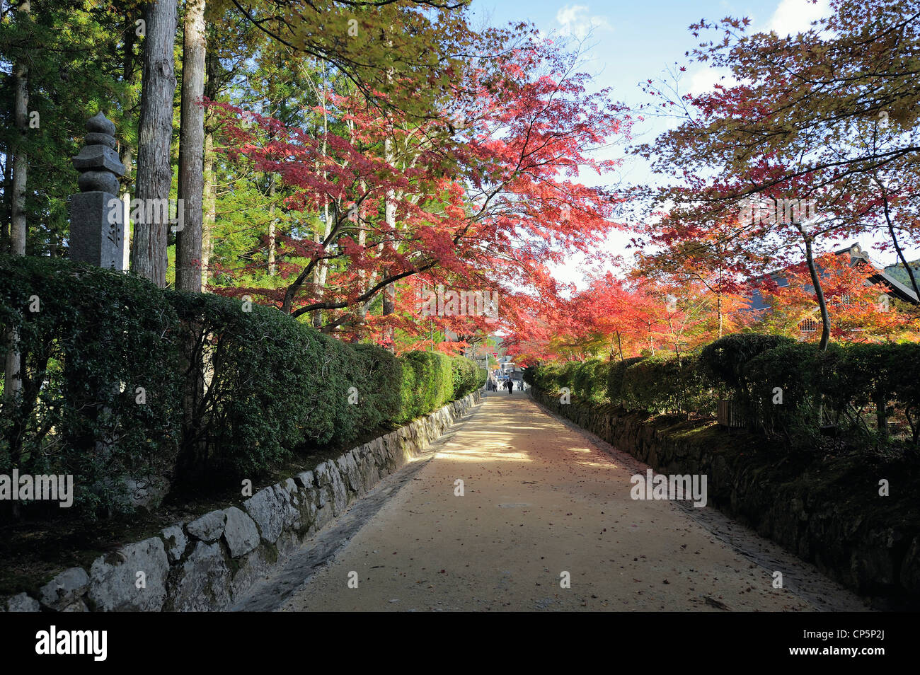 Koyasan japan walk hi-res stock photography and images - Alamy