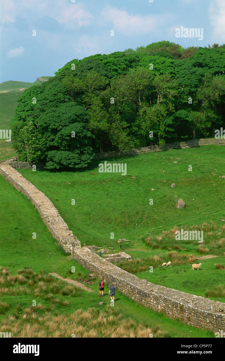 England, Northumbria, Hadrian's Wall, Views near Housesteads Roman Fort ...