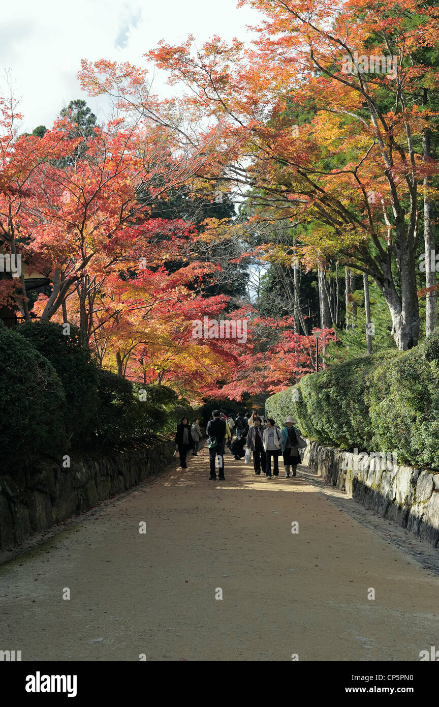 autumn leaves in Koya-San, Japan Stock Photo - Alamy