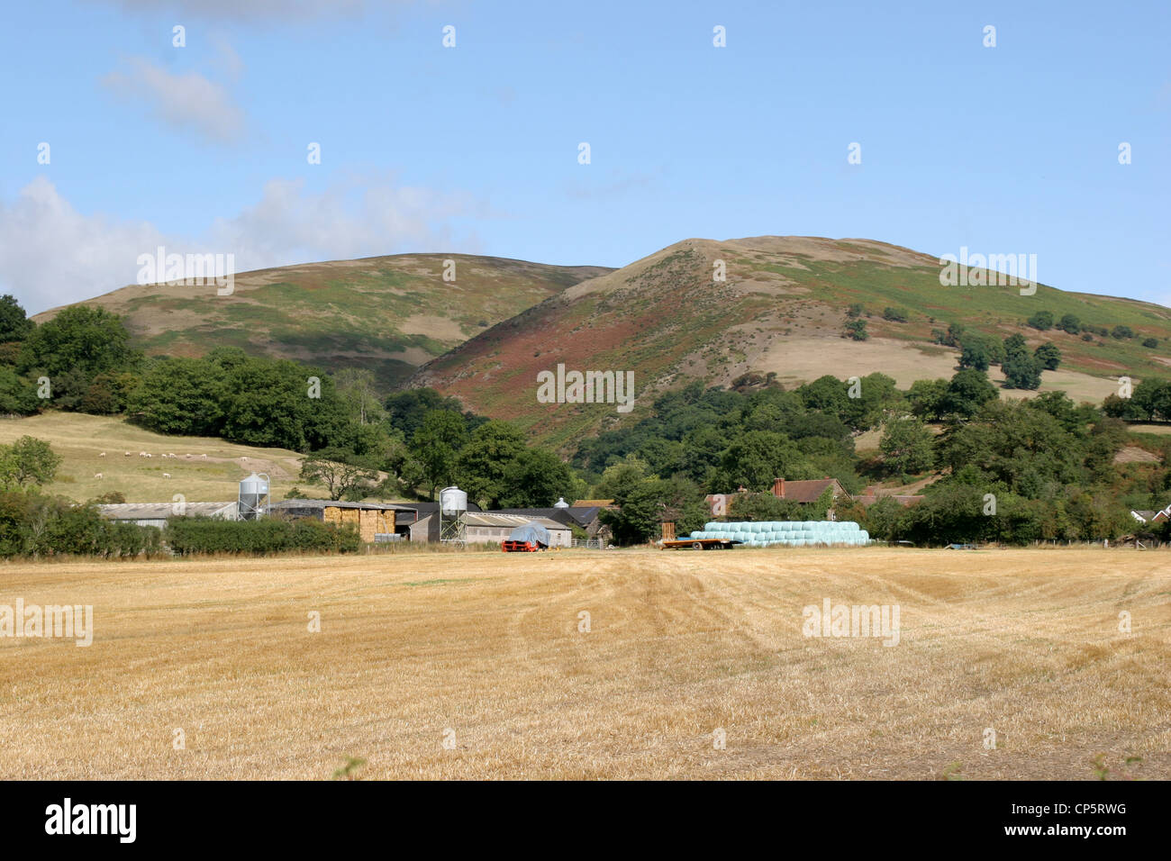 Farm Long Mynd hills Little Stretton Shropshire England UK Stock Photo ...