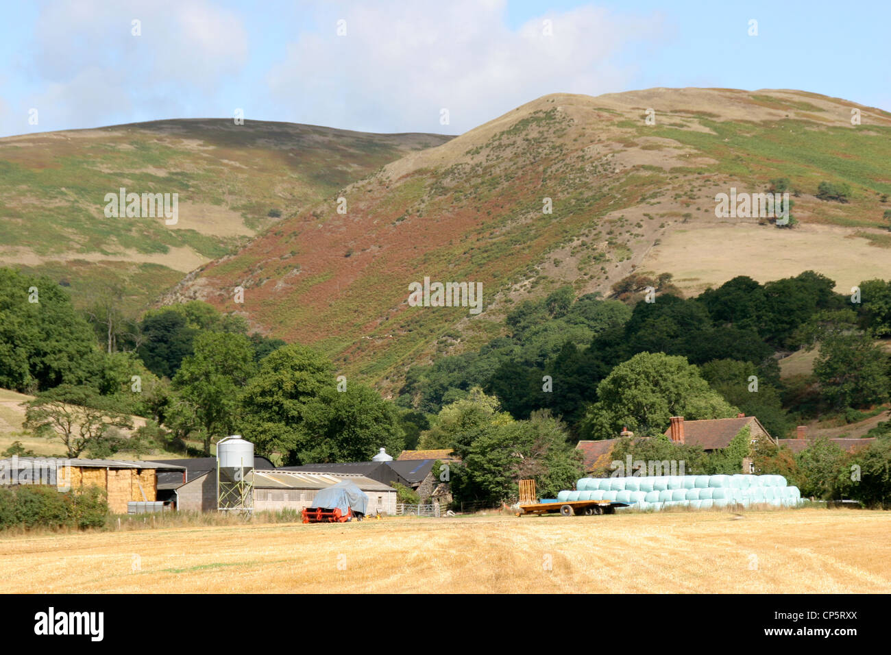 Little stretton hi-res stock photography and images - Alamy