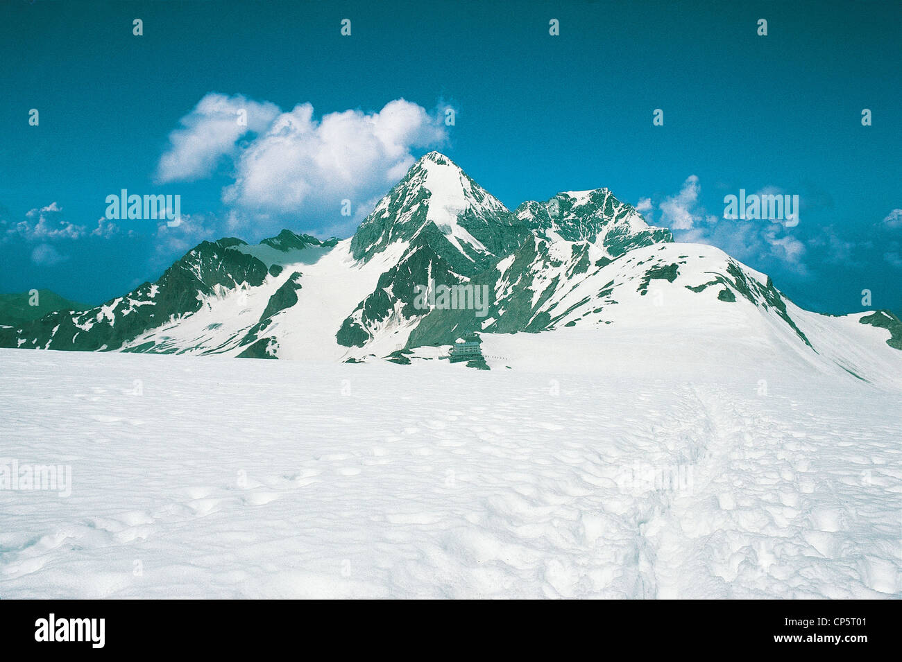 LOMBARDY PARK GRAND NATIONAL STELVIO ORTLES Zebru ' Stock Photo - Alamy