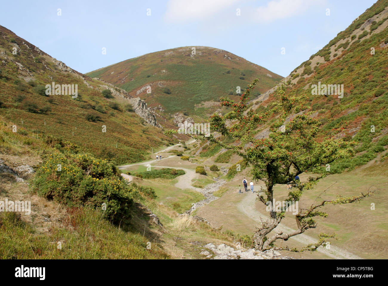 Carding Mill Valley The Long Mynd Shropshire England UK Stock Photo - Alamy
