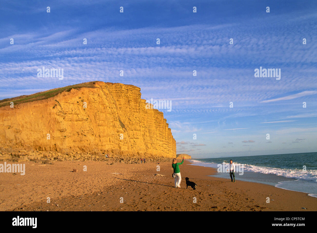 Sandstone cliffs dorset hi-res stock photography and images - Alamy