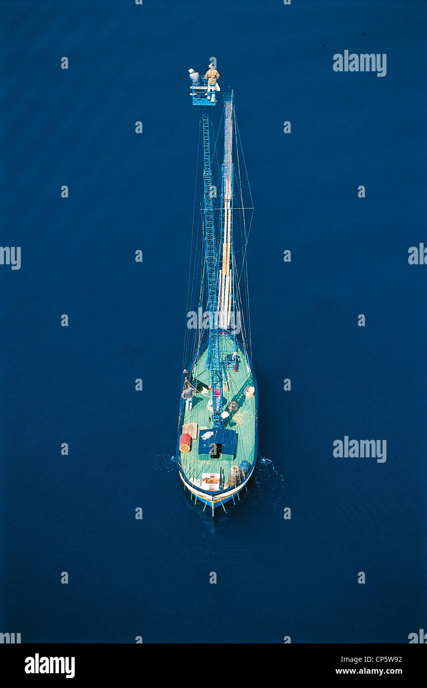 Calabria Boat For Fishing Swordfish Stock Photo - Alamy