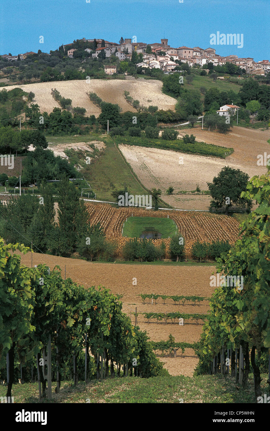 Mondolfo hi-res stock photography and images - Alamy