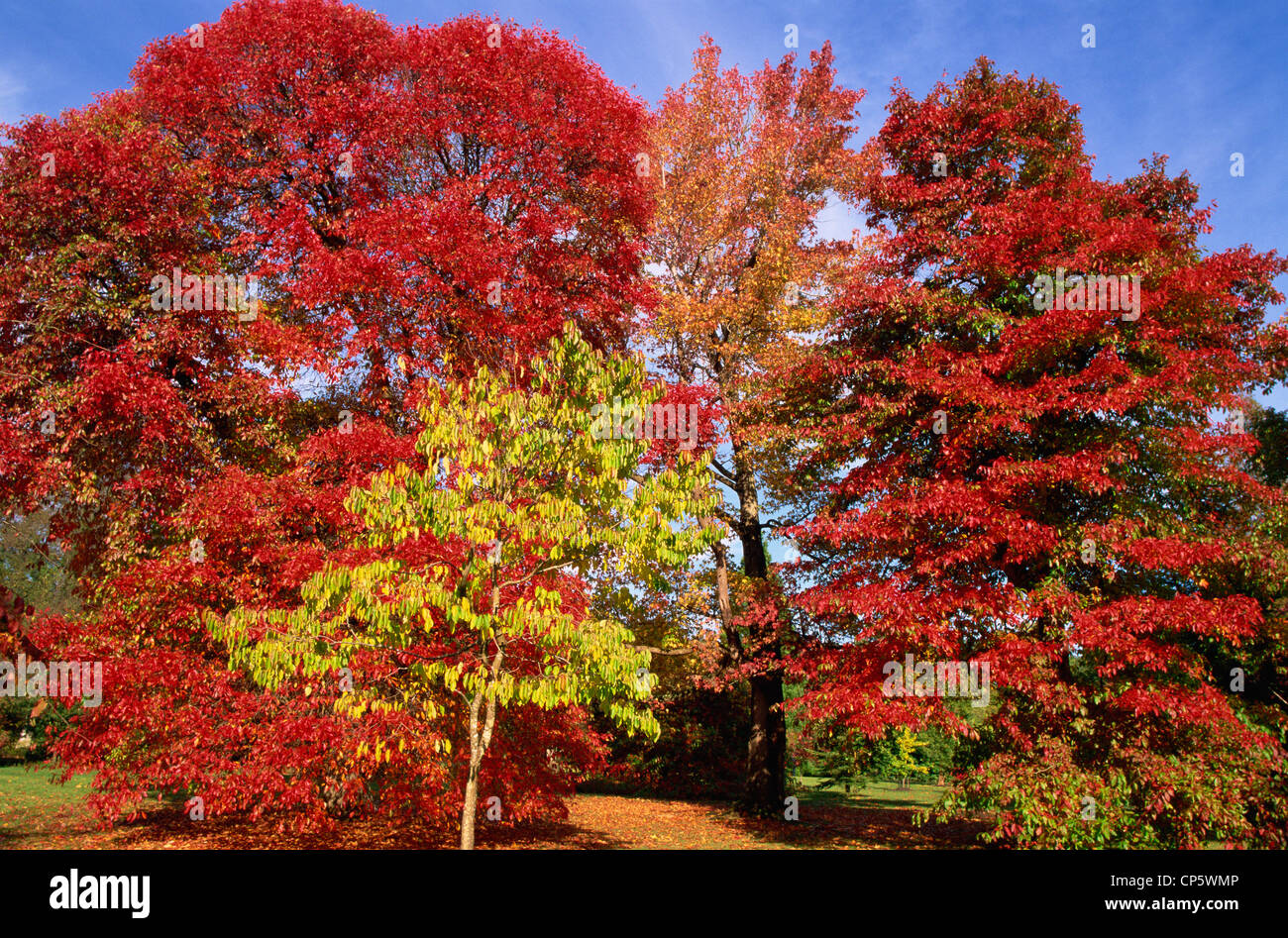 Autumn sussex england hi-res stock photography and images - Alamy