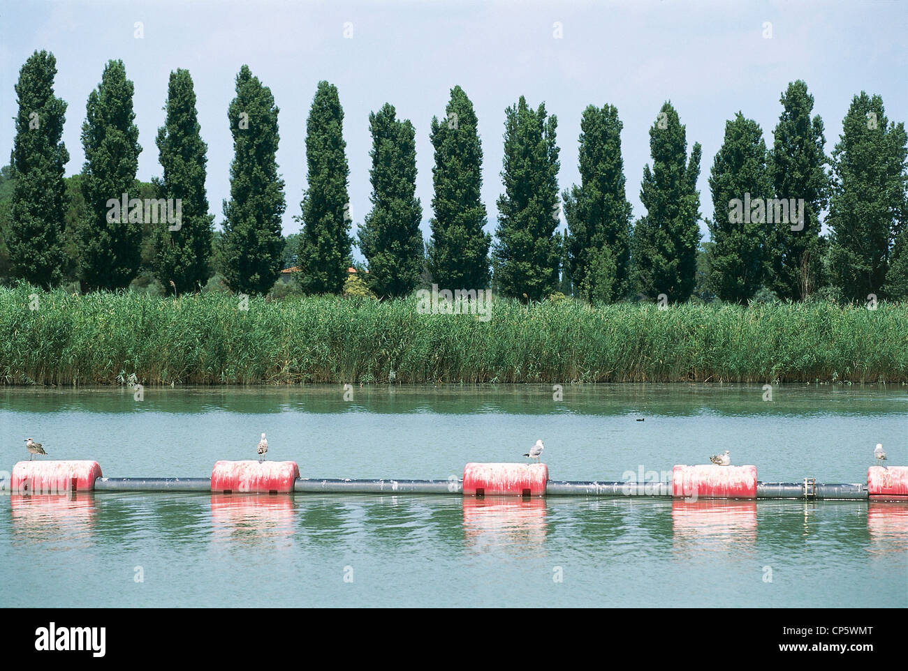 Umbria - Lago Trasimeno - Polvese Island (Pg Stock Photo - Alamy