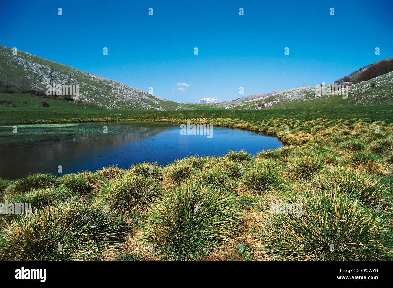 Calabria - Pollino National Park. Orsomarso (CS), the middle floor is ...