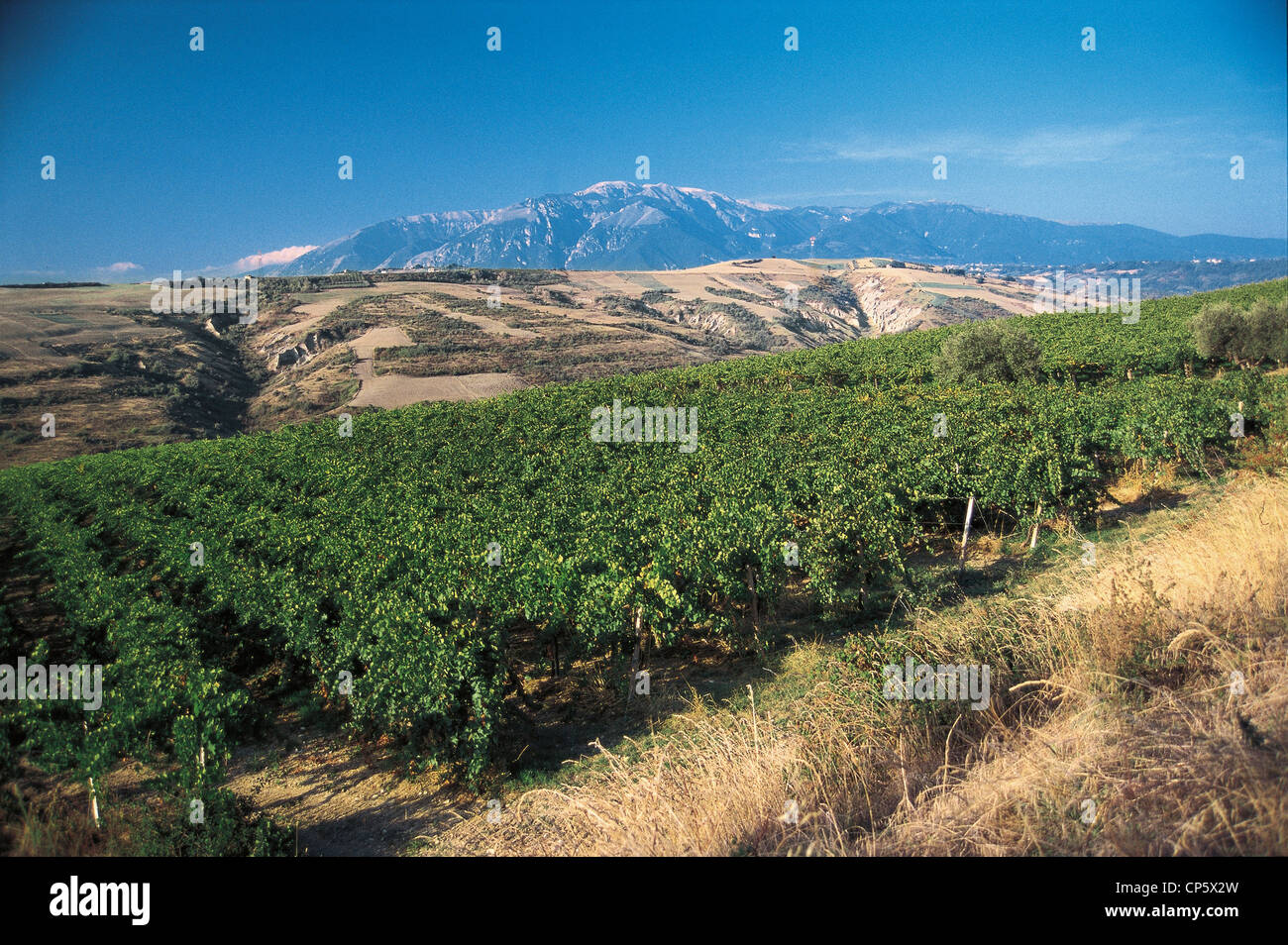 Orsogna hi-res stock photography and images - Alamy