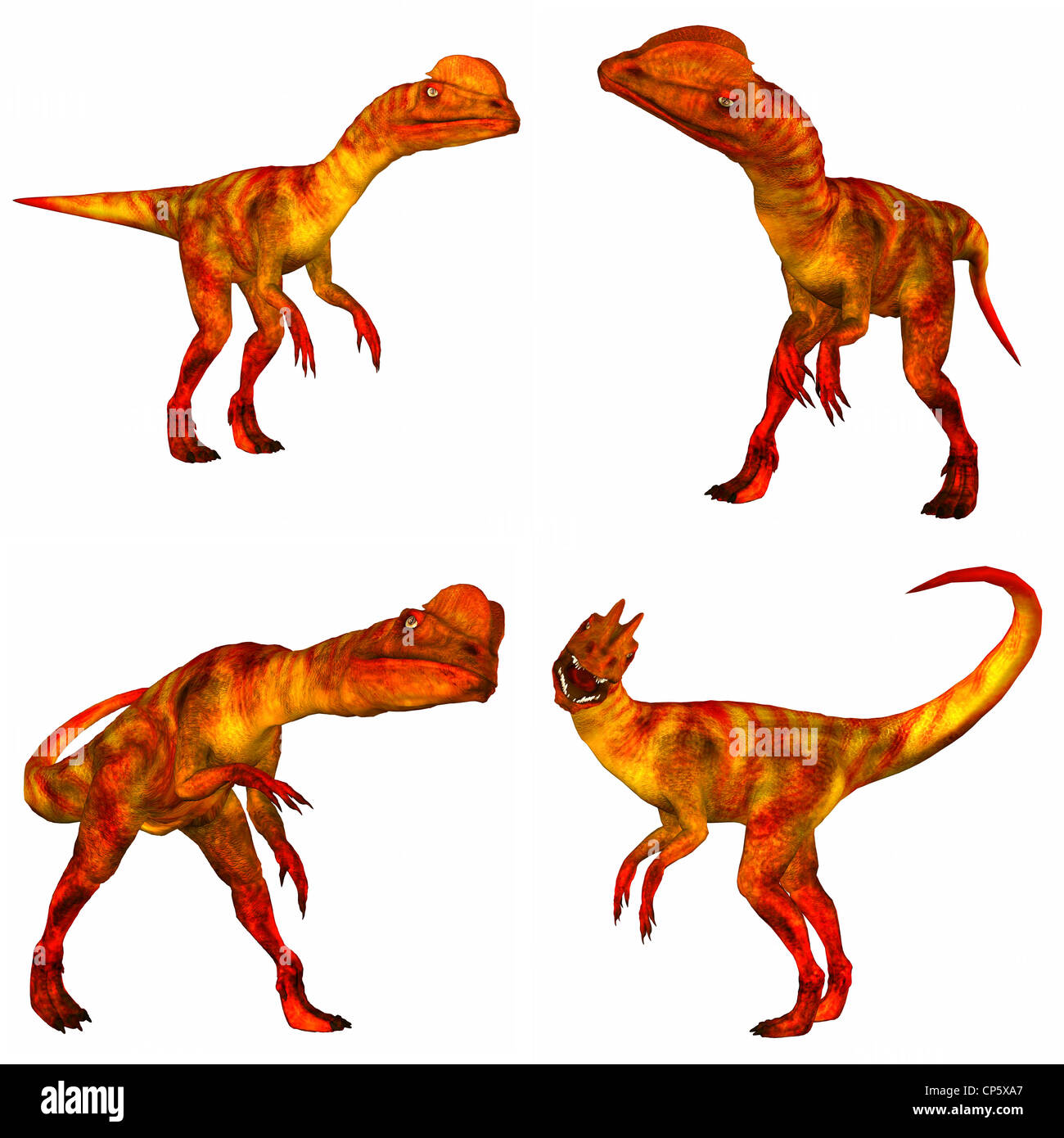 Illustration of a pack of four (4) dilophosaurus (species of dinosaur) with different poses ...