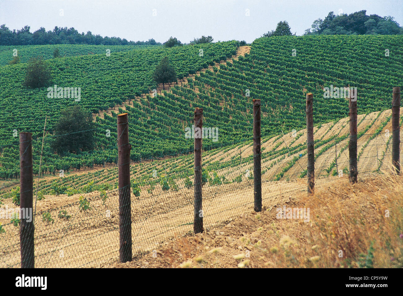PIEDMONT between Novi Ligure and Gavi RURAL LANDSCAPE Stock Photo - Alamy