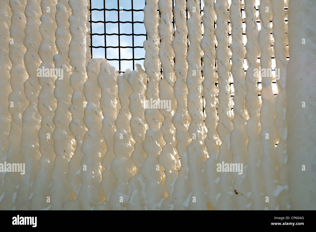Icy metal lattice, Odessa, Ukraine, Eastern Europe Stock Photo - Alamy