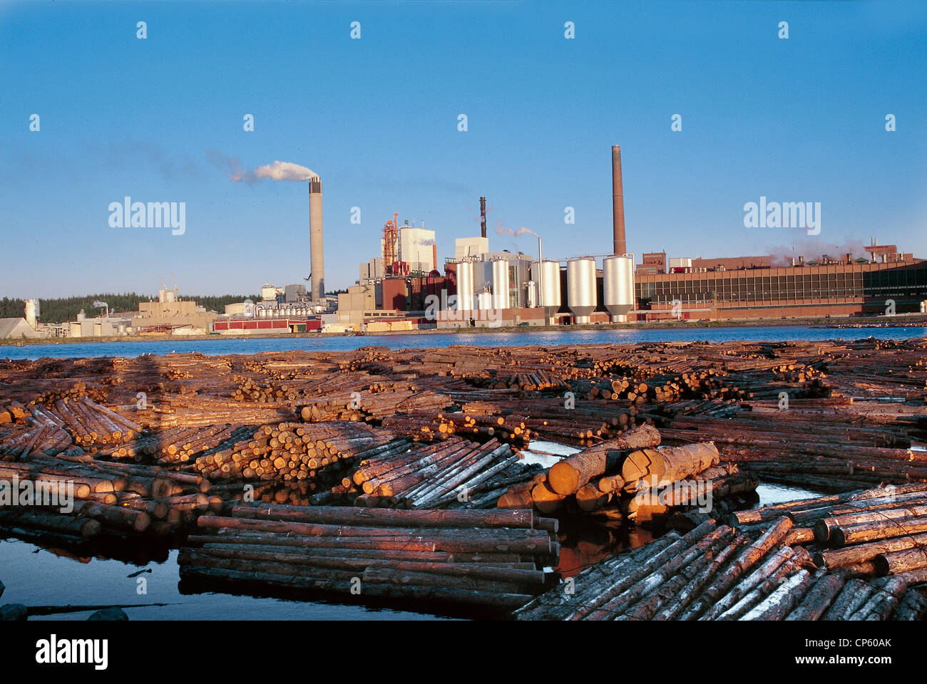 FINLAND Ruokolahti FACTORY FOR PRODUCTION OF CELLULOSE Stock Photo - Alamy