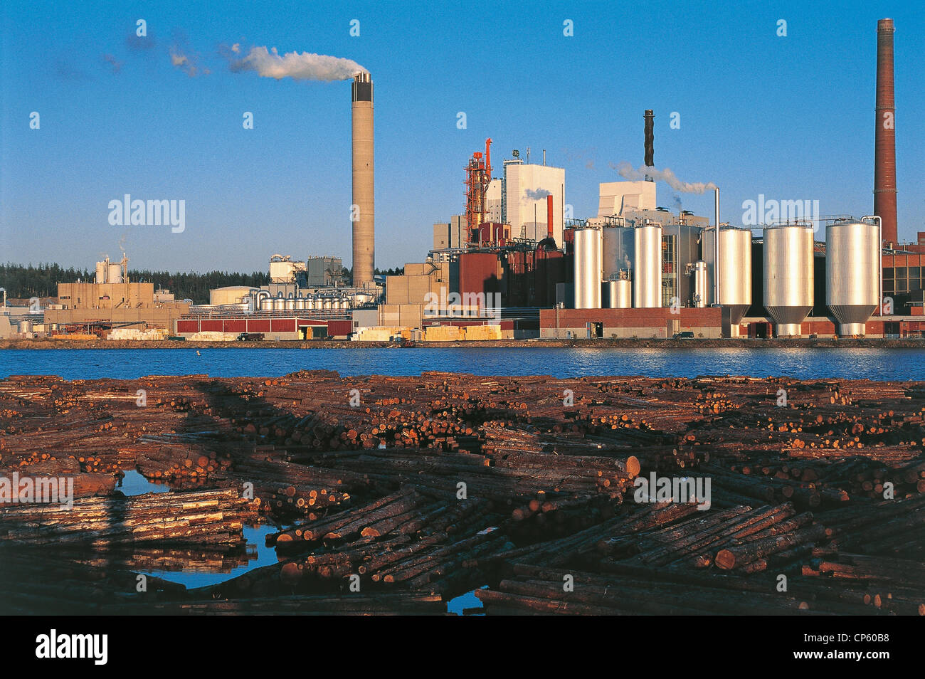 Cellulose factory hi-res stock photography and images - Alamy