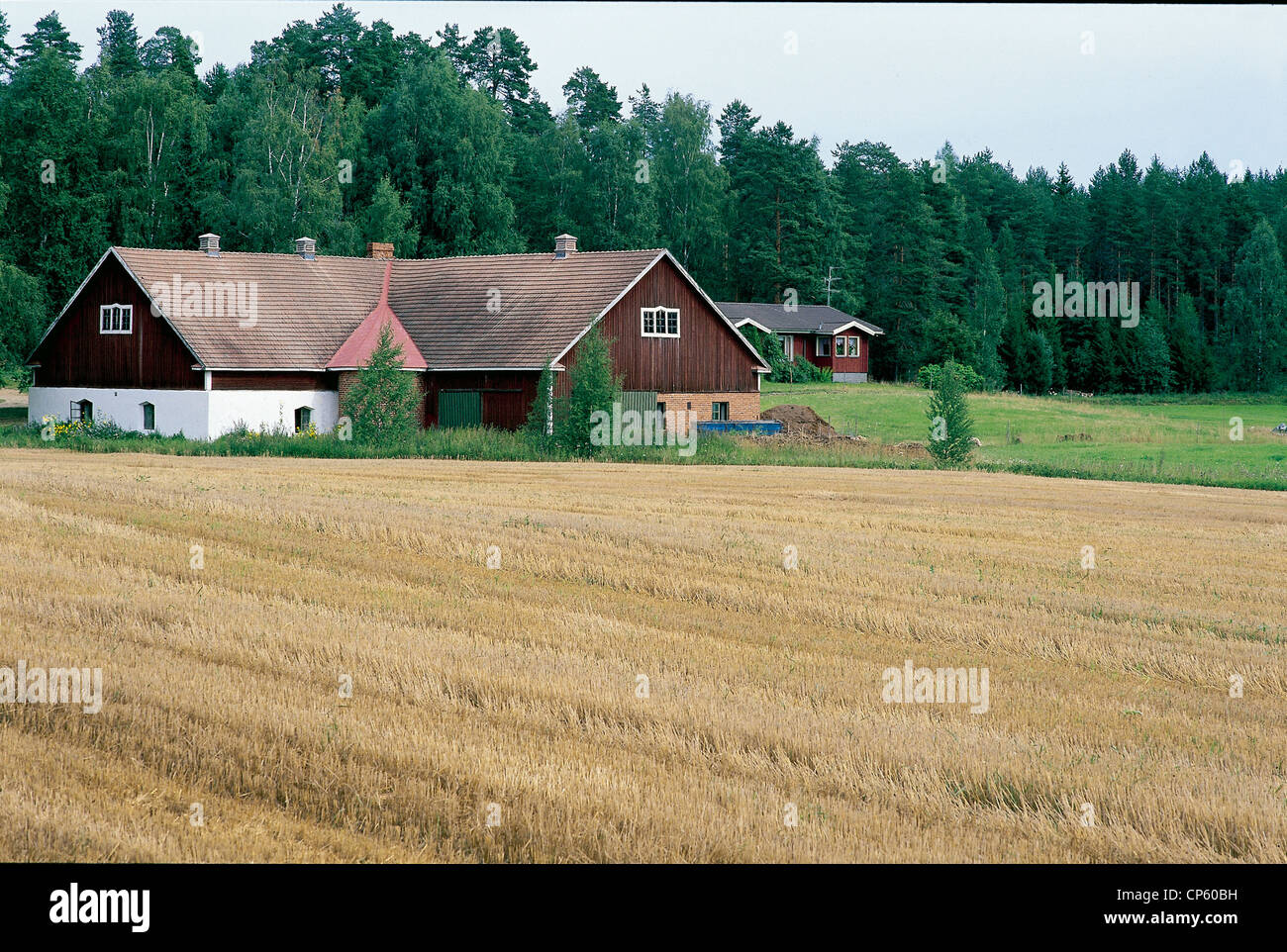Finland Farm In The Region Of Lake Pajanne Stock Photo - Alamy