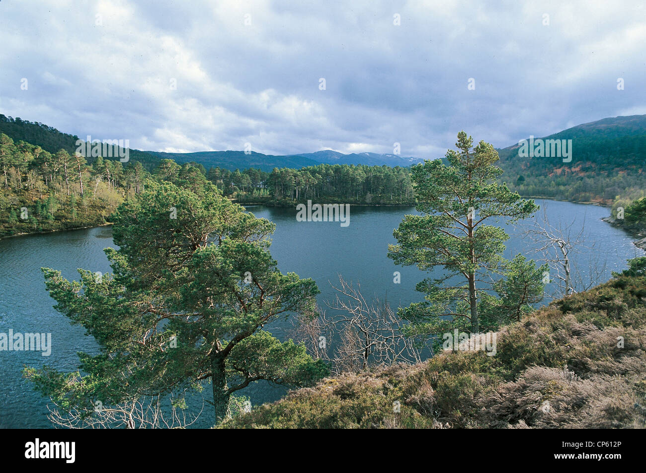 UNITED KINGDOM - SCOTLAND - HIGHLANDS. AROUND LOCH NESS, VALLEY GLEN ...