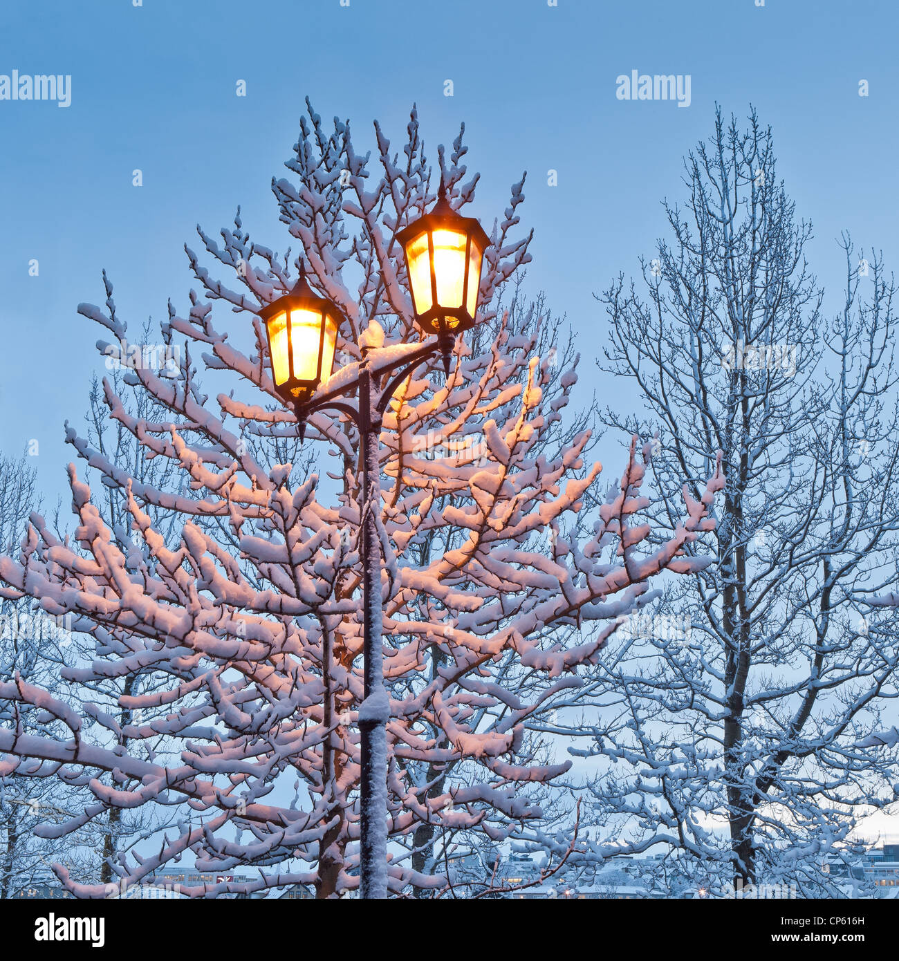 Large snowfall hi-res stock photography and images - Alamy