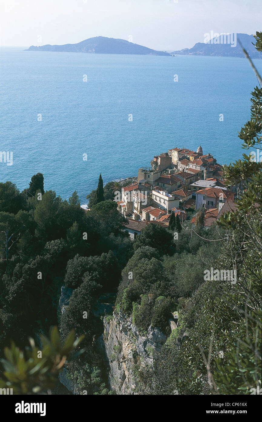 Palmaria sp hi-res stock photography and images - Alamy