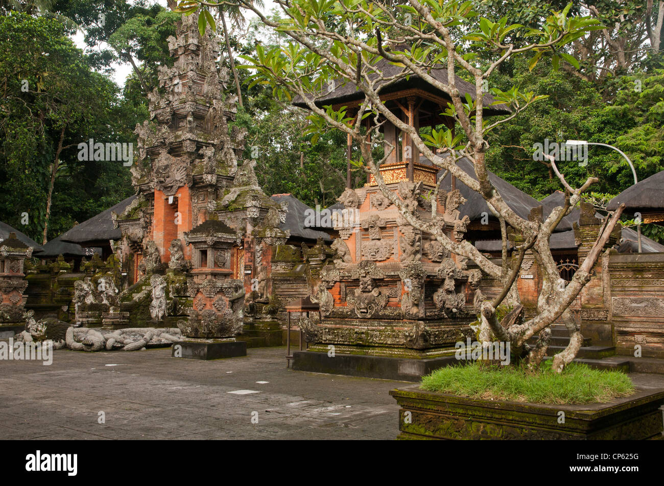 The Ubud Monkey Forest is a nature reserve and temple complex in Ubud ...