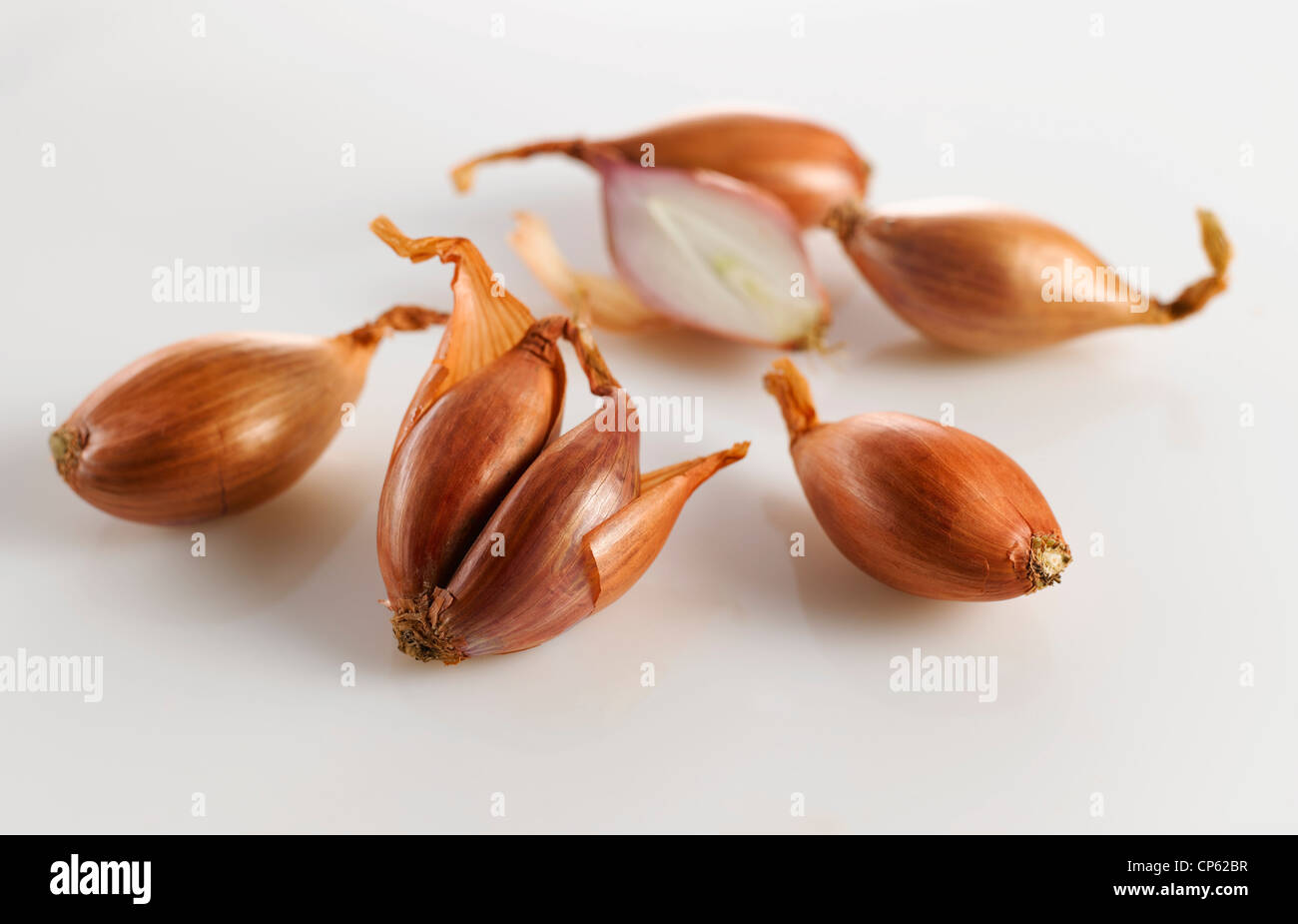 Shallot on white background Stock Photo - Alamy