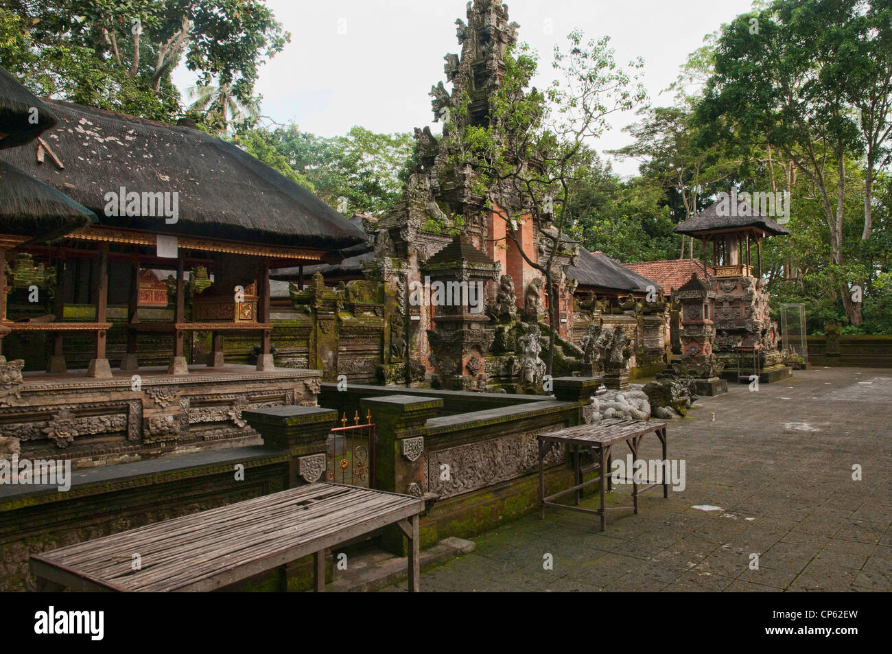 The Ubud Monkey Forest is a nature reserve and temple complex in Ubud ...