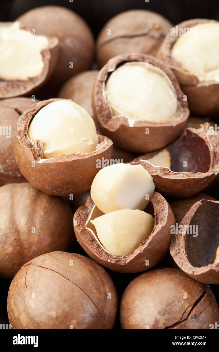 Macadamia nut, close up Stock Photo - Alamy