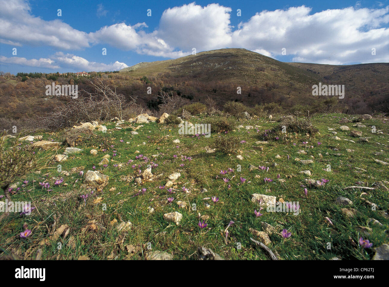 Sardinia Monte Sword Around Fonni Stock Photo - Alamy