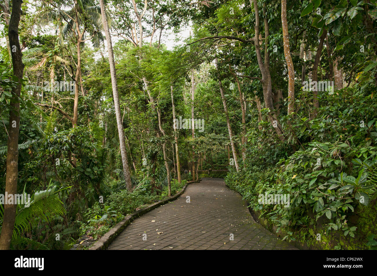 The Ubud Monkey Forest is a nature reserve and temple complex in Ubud ...