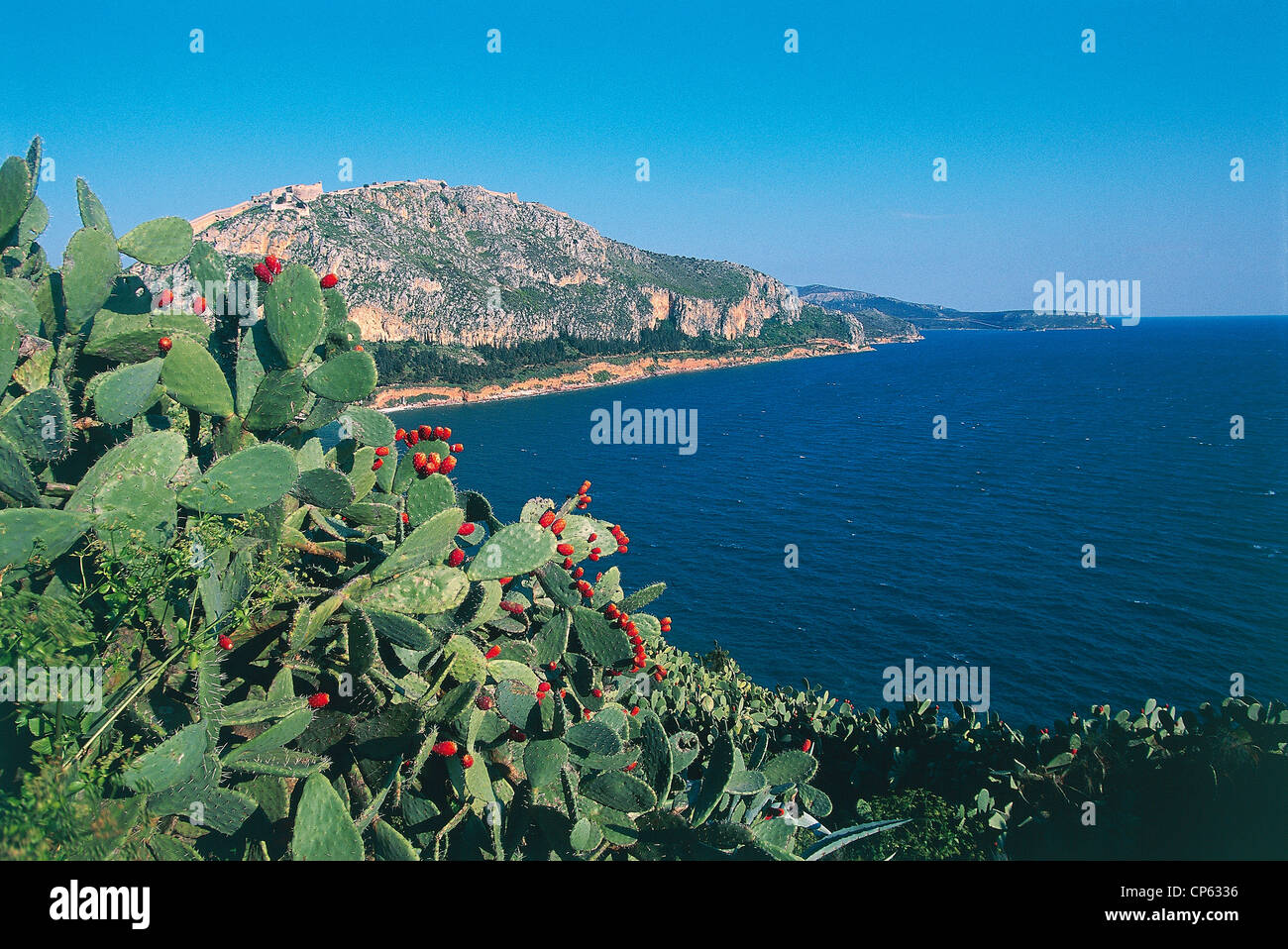 Greece - Argolida - View of the coast near Nafplio Stock Photo - Alamy