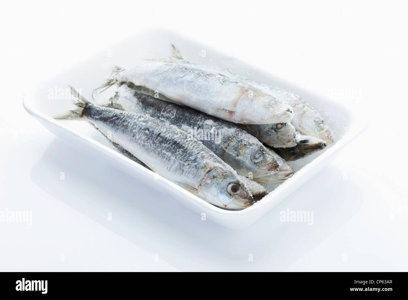Frozen sardines in bowl on white background Stock Photo - Alamy