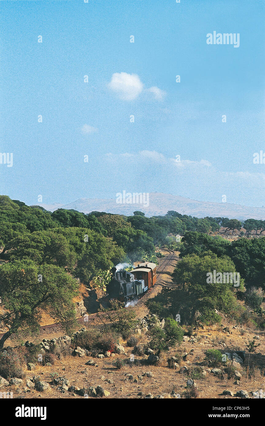 Sardinia green train hi-res stock photography and images - Alamy