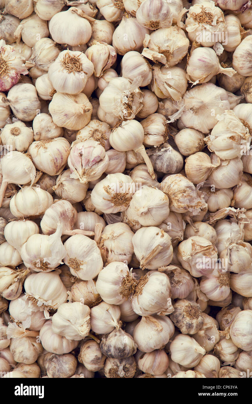 India, Kerala, Garlic in market Stock Photo - Alamy