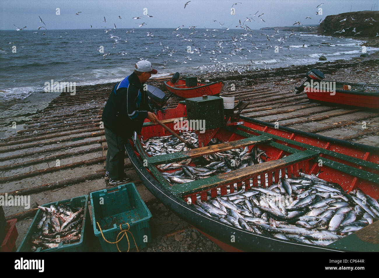 Central newfoundland hi-res stock photography and images - Alamy