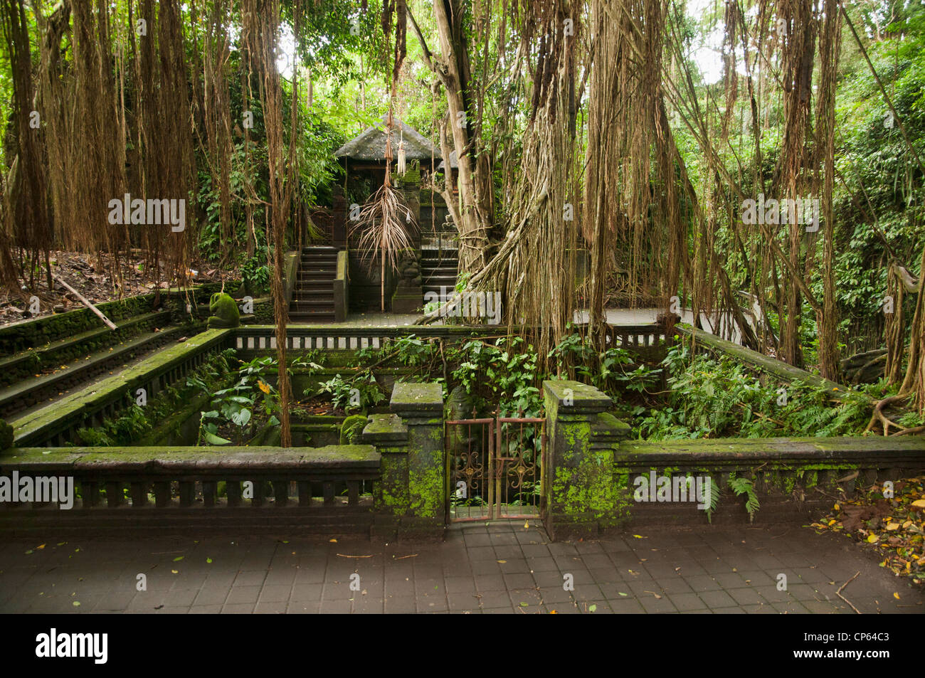 The Ubud Monkey Forest is a nature reserve and temple complex in Ubud ...
