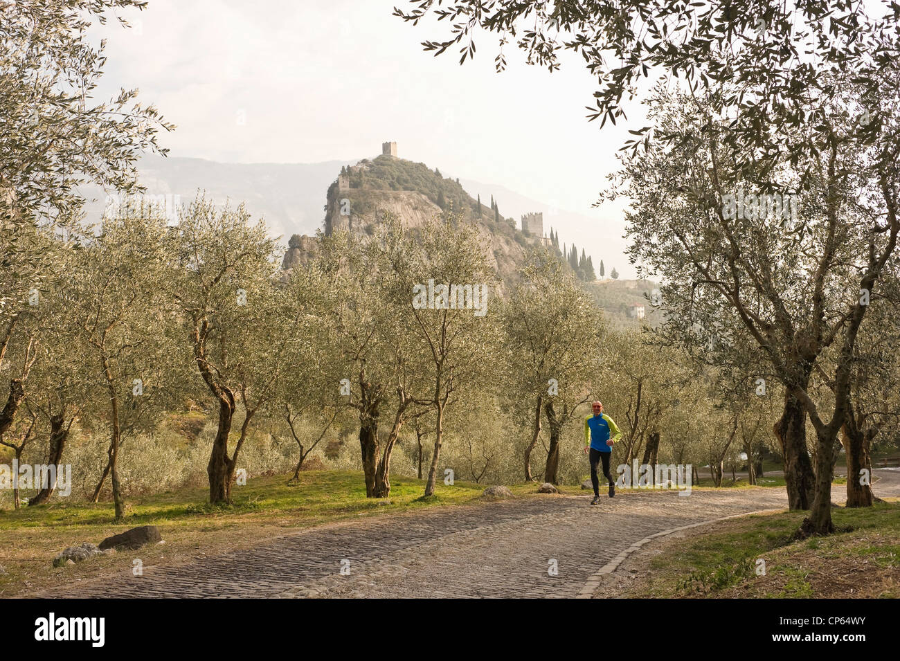 Italy, Mature man jogging on trail Stock Photo - Alamy