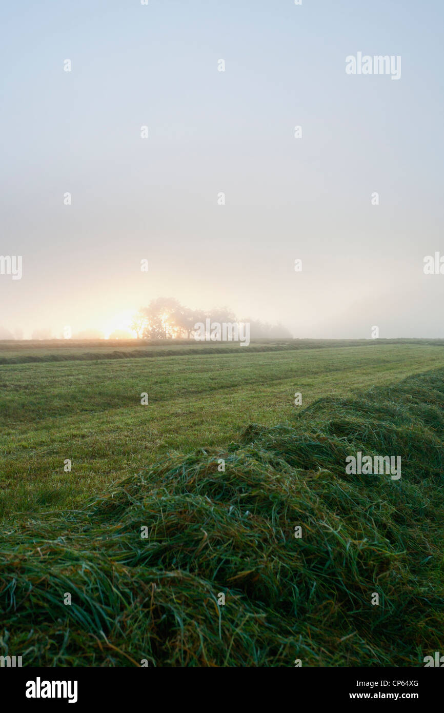 Nennig germany hi-res stock photography and images - Alamy