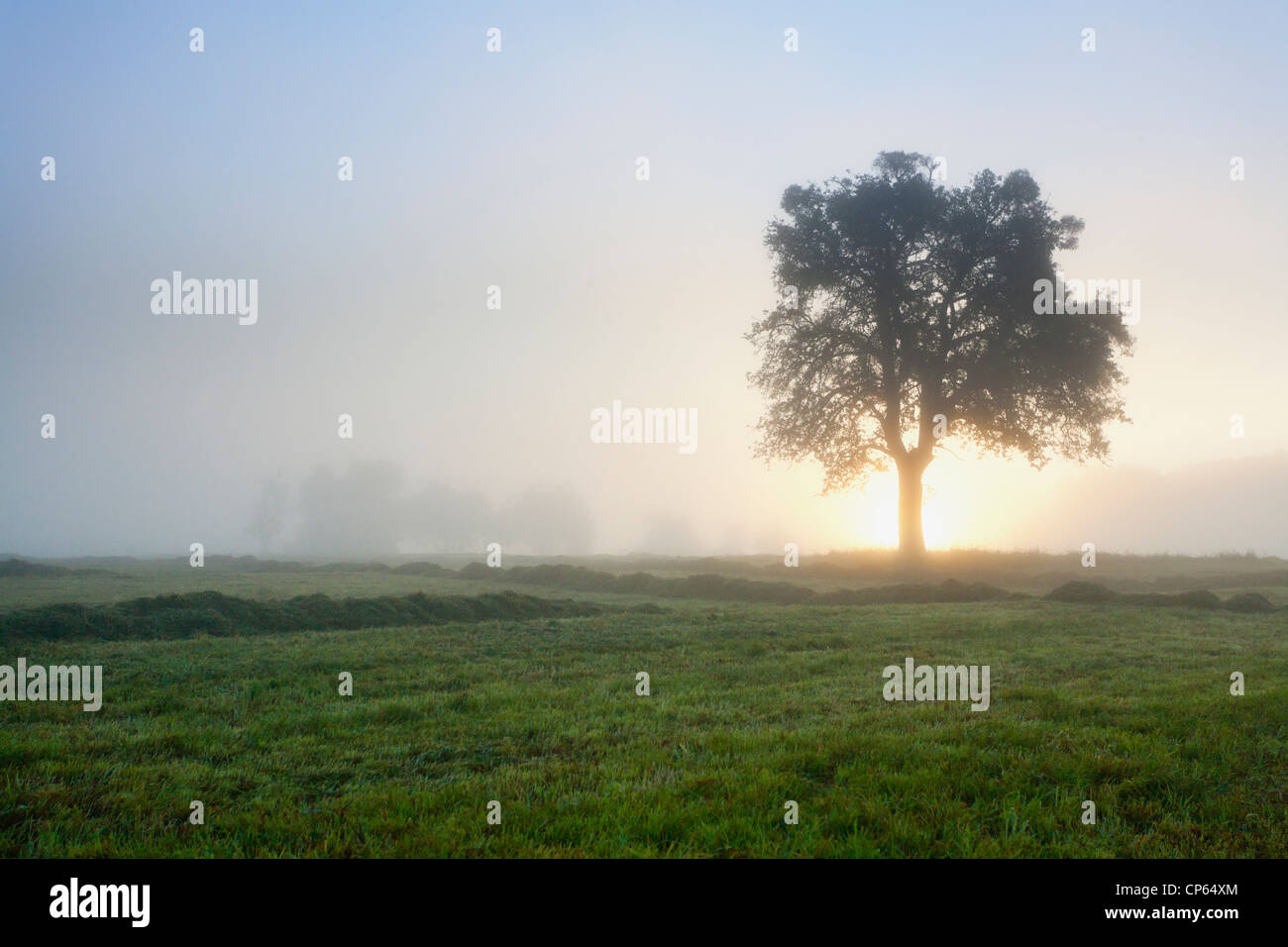 Nennig germany hi-res stock photography and images - Alamy