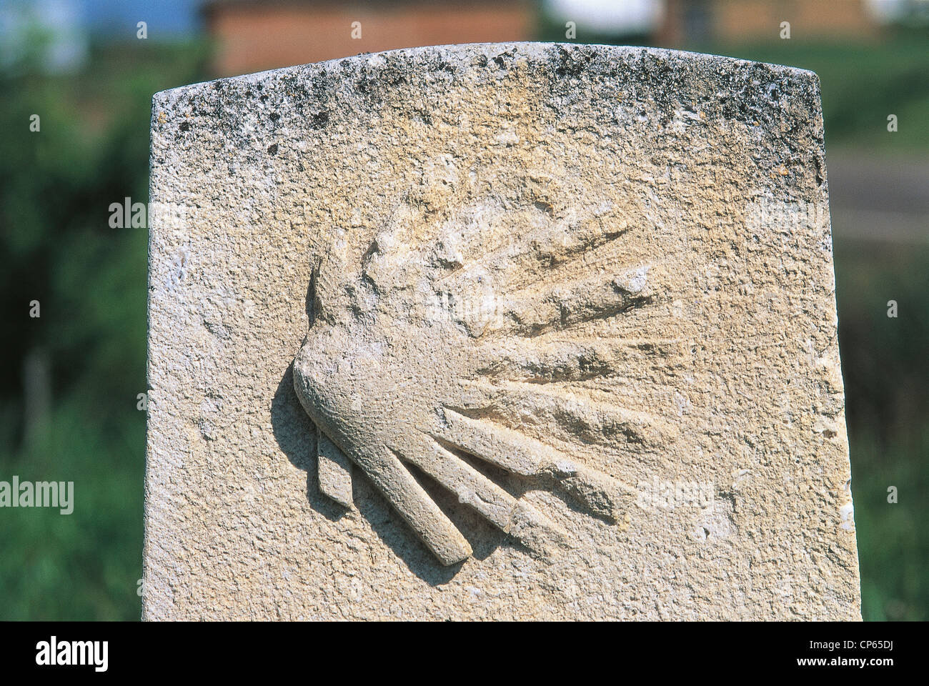 Emblem Of Stone In Spain Santiago De Compostela Stock Photo - Alamy