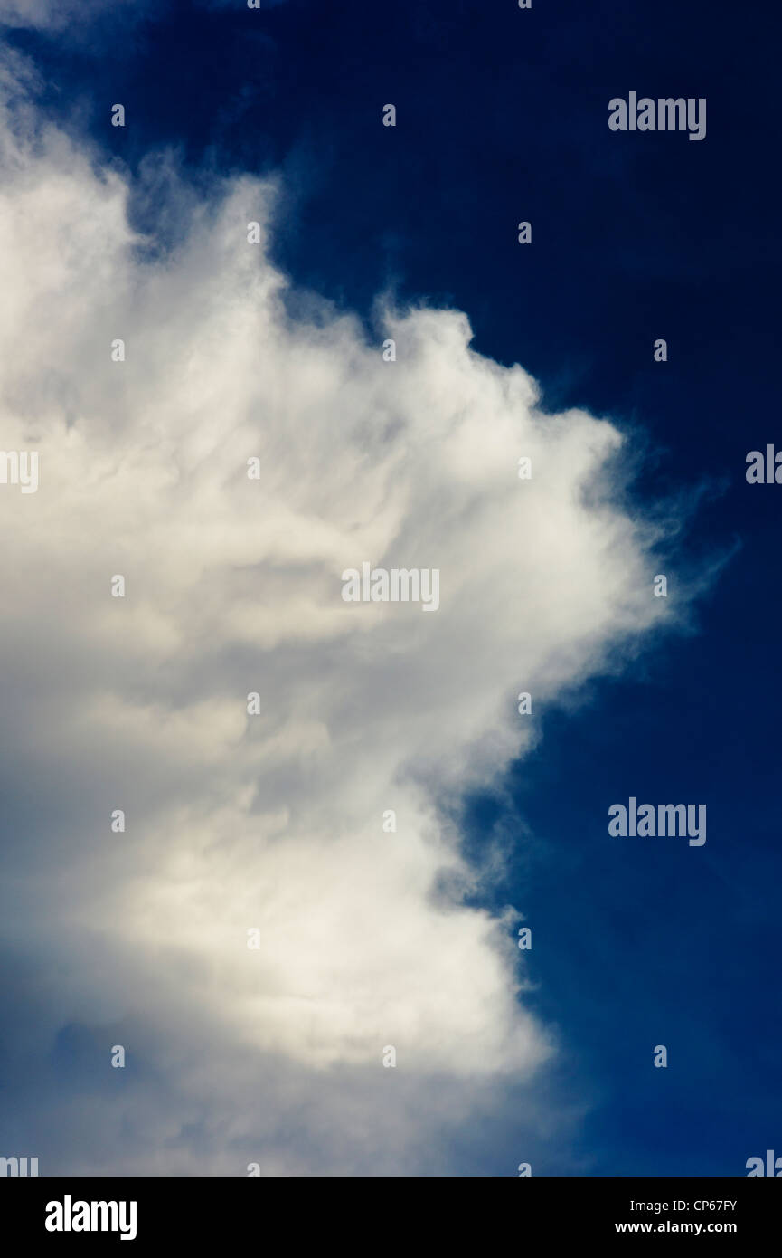 Puffy white clouds against a cobalt blue Colorado sky Stock Photo - Alamy