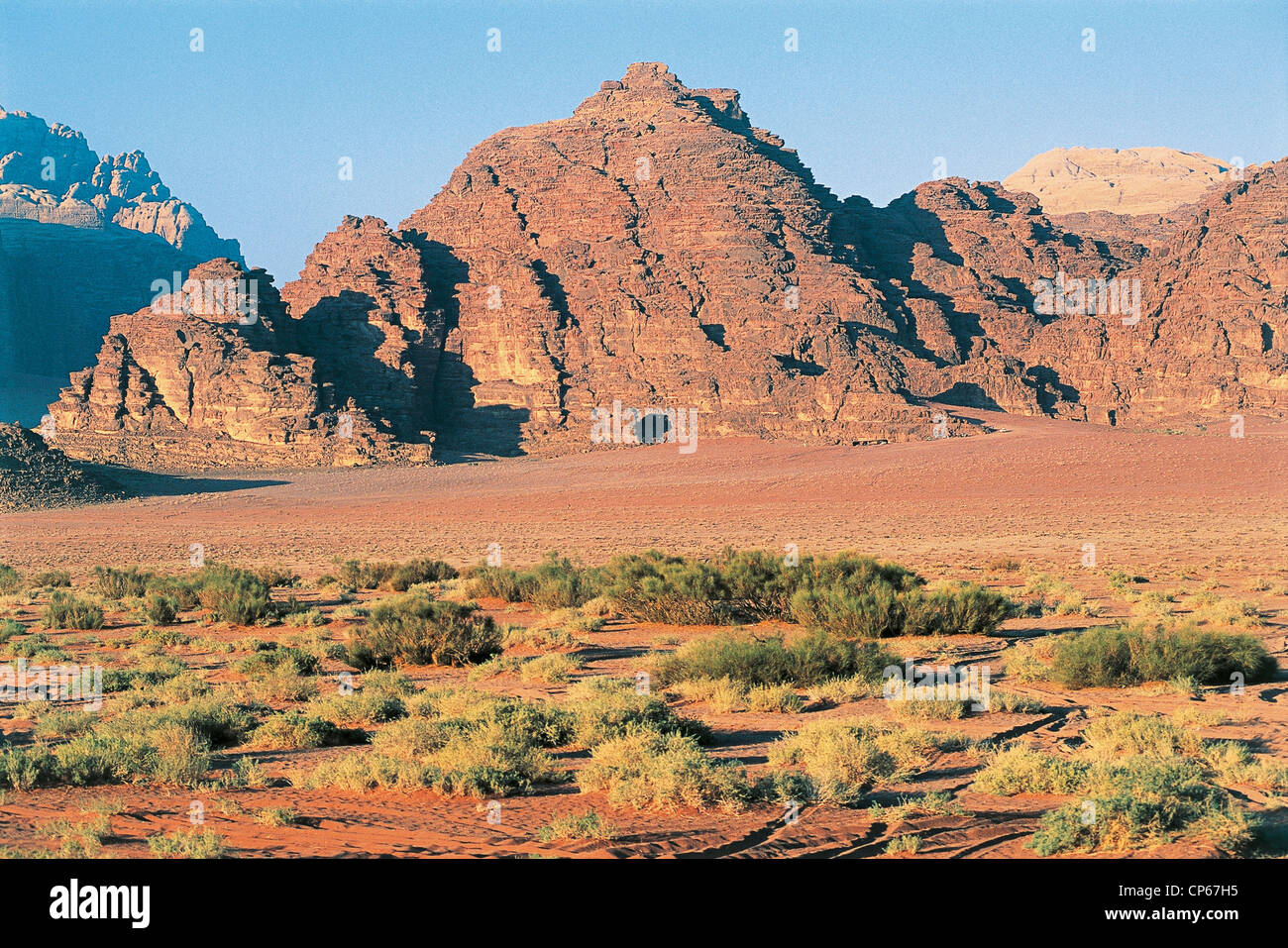 Jordan - Wadi Rum, xerofita vegetation Stock Photo - Alamy