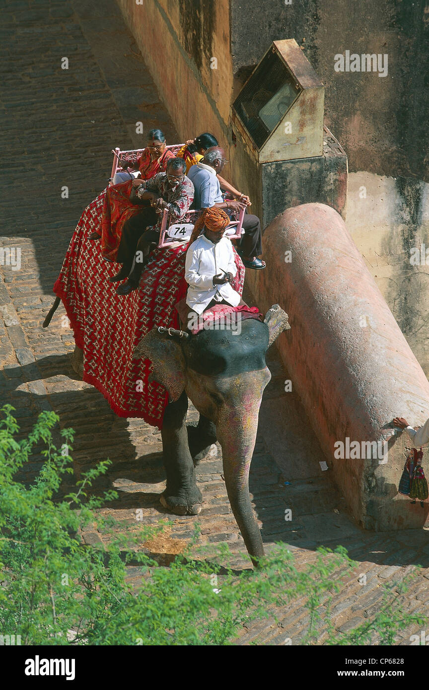India - Rajasthan (Rajasthan) - Jaipur - Sightseeing in elephant in the ...