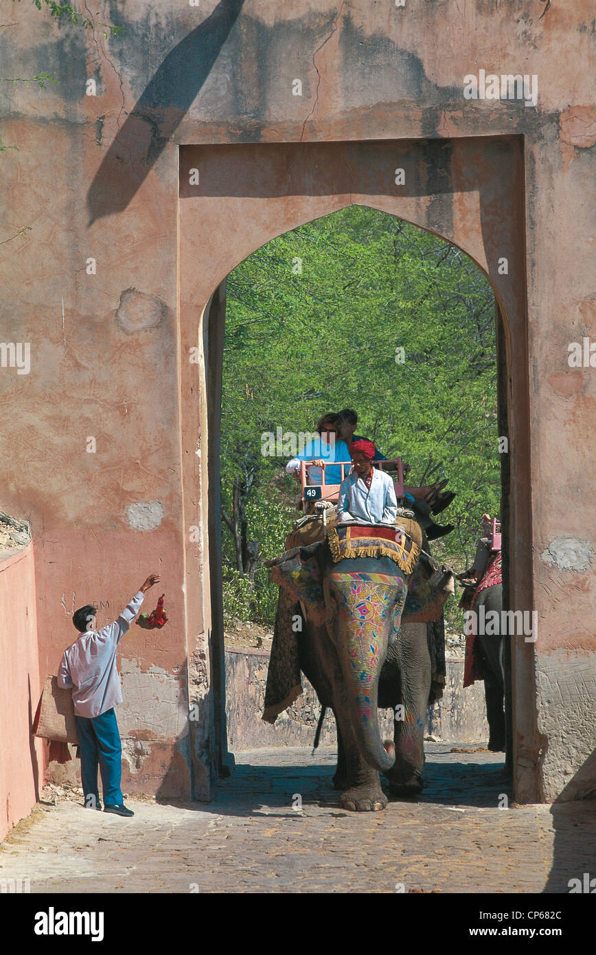 INDIA Rajastan JAIPUR ELEPHANT FOR TOUR Stock Photo - Alamy