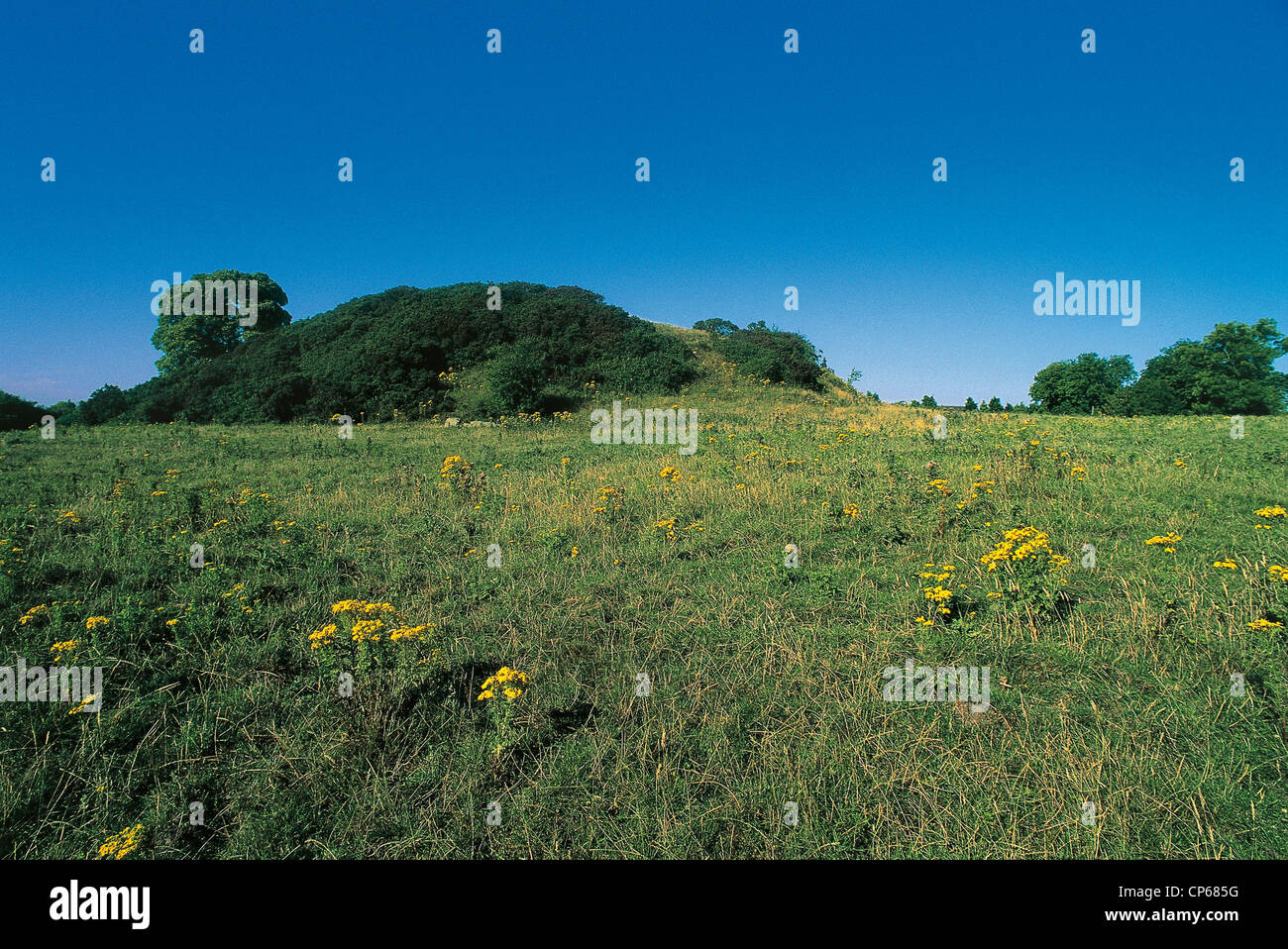 Dowth ireland hi-res stock photography and images - Alamy